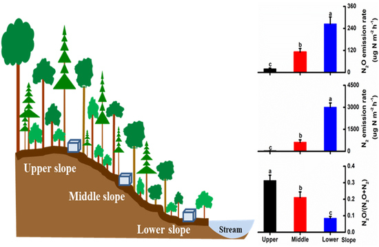 Forests | An Open Access Journal from MDPI