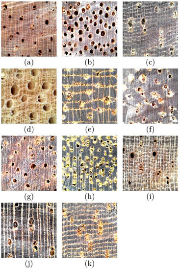An Improved Wood Recognition Method Based on the One-Class Algorithm