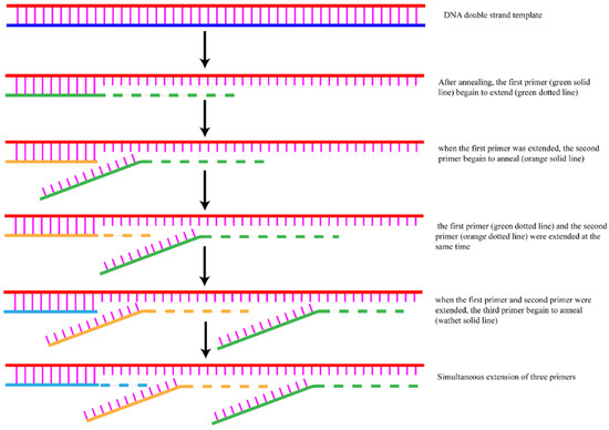 Enzyme-Mediated Amplification (EMA) for Detection of the Pinewood ...