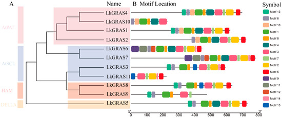 Comprehensive Analysis of GRAS Gene Family and Their Expression under GA3, Drought Stress and ...