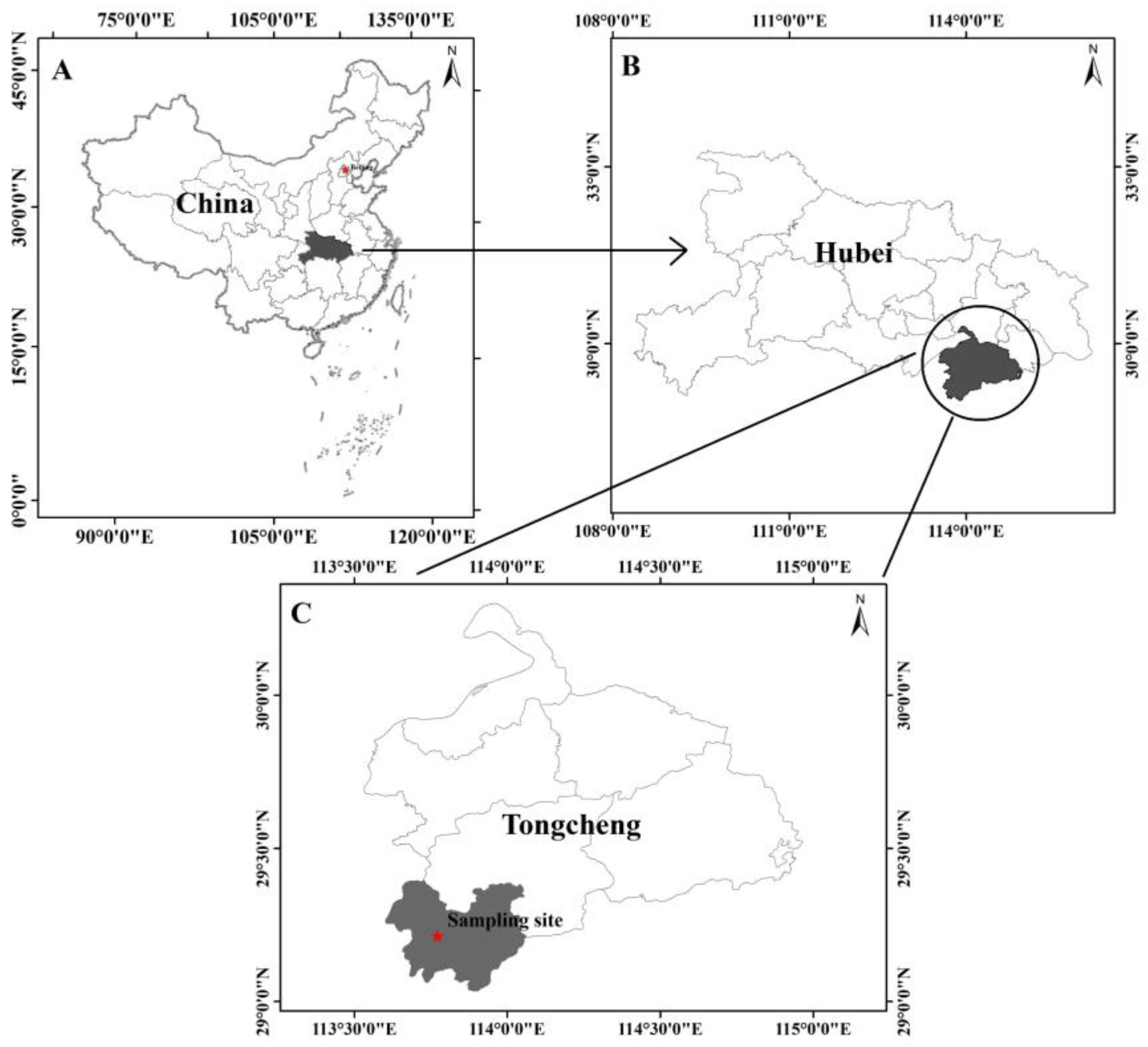 Structure Degradation Induced by Wetting and Drying Cycles for the ...