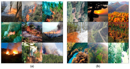 MTL-FFDET: A Multi-Task Learning-Based Model for Forest Fire Detection