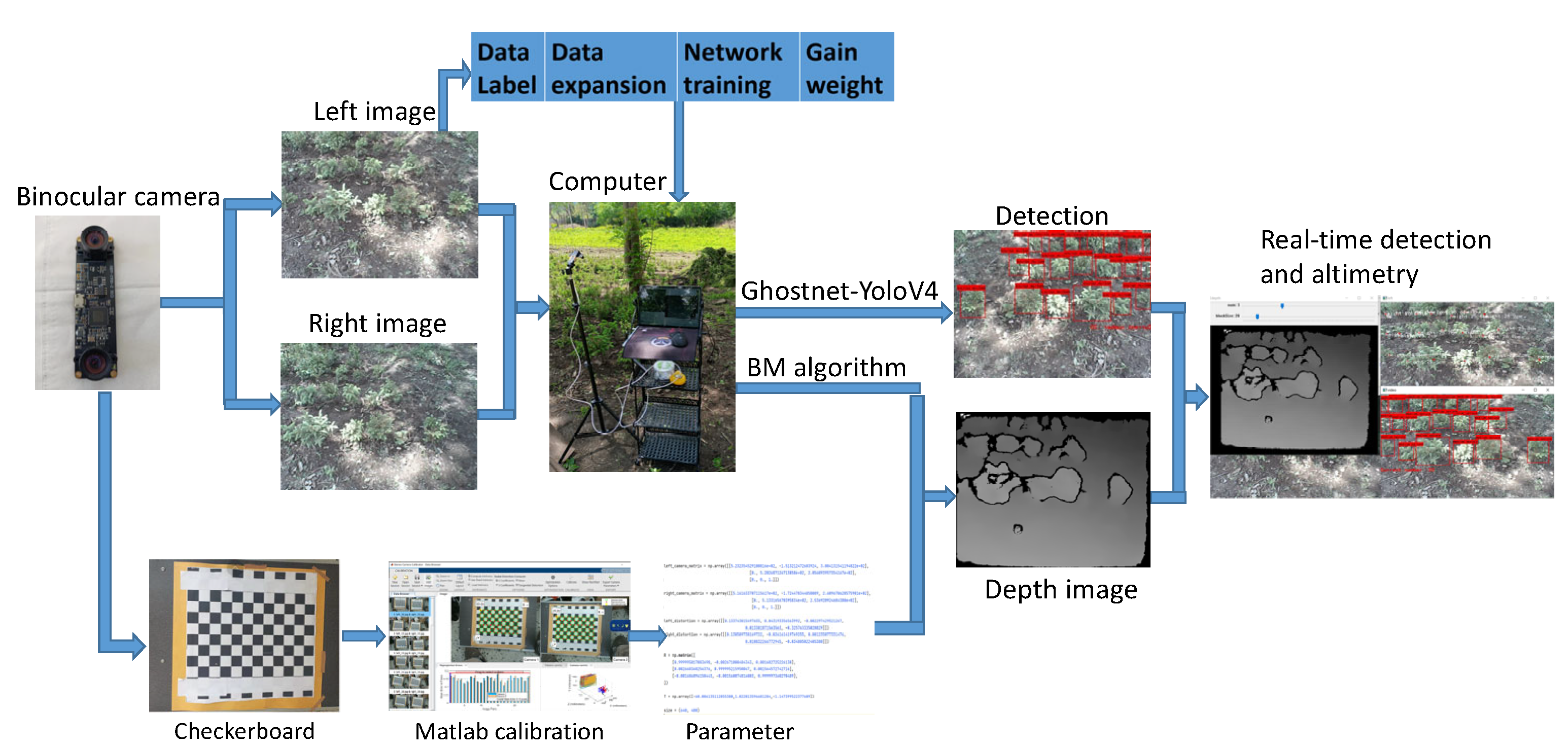 Real-Time Counting and Height Measurement of Nursery Seedlings Based on Ghostnet–YoloV4 Network ...