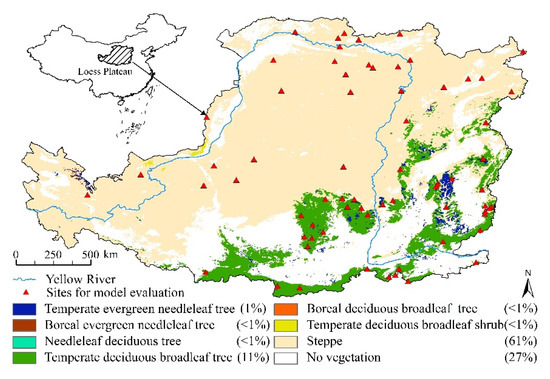 Simulating Ecological Functions of Vegetation Using a Dynamic ...