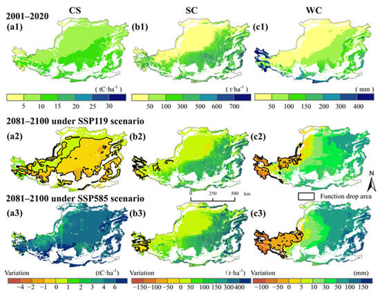 Simulating Ecological Functions of Vegetation Using a Dynamic ...