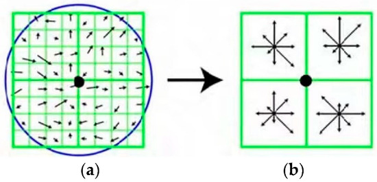 An Optimized SIFT-OCT Algorithm for Stitching Aerial Images of a ...