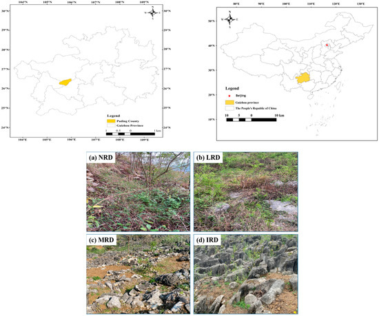 Soil Quality Assessment and Management in Karst Rocky Desertification ...