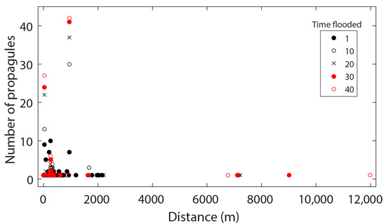 Mangrove Propagule Dispersal in a Shallow and Narrow Coastal Lagoon: A ...
