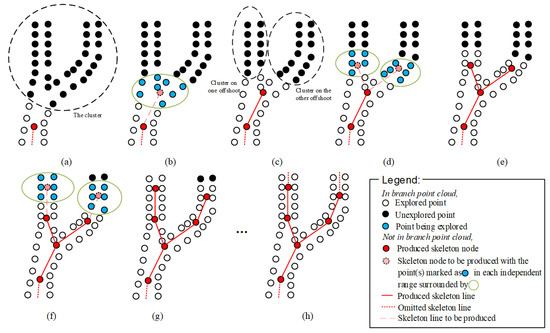 A Novel Algorithm Based on Geometric Characteristics for Tree Branch Skeleton Extraction from ...