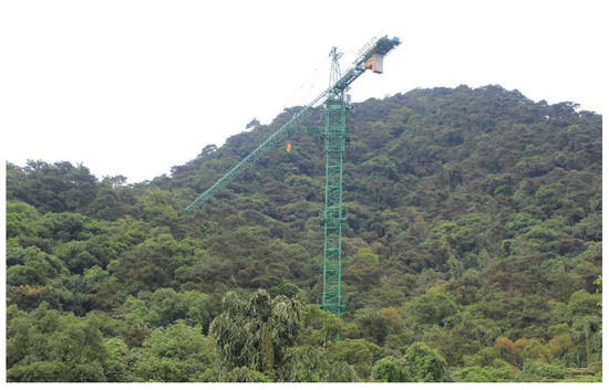 Vertical Variation in Leaf Traits and Crown Structure Promote the ...