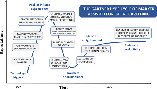 Forests | Free Full-Text | Twelve Years into Genomic Selection in Forest Trees: Climbing the ...