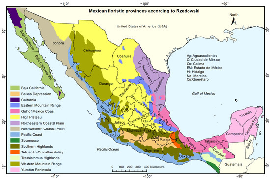 Mexico’s Forest Diversity: Common Tree Species and Proposed Forest ...
