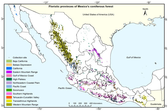 Mexico’s Forest Diversity: Common Tree Species and Proposed Forest ...