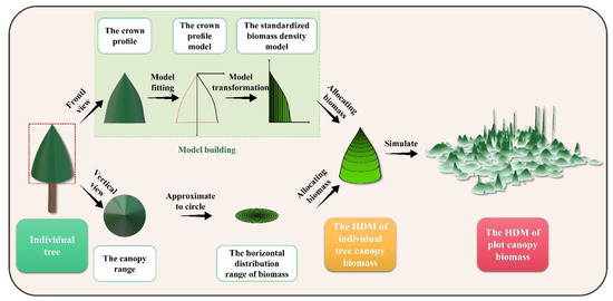 A Method for Estimating Forest Aboveground Biomass at the Plot Scale ...
