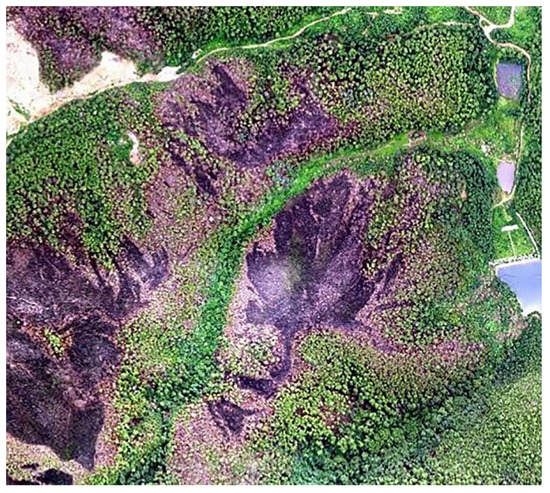 Automated Extraction of Forest Burn Severity Based on Light and Small ...