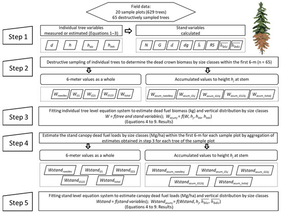 Forests | Free Full-Text | Individual-Tree and Stand-Level Models for ...