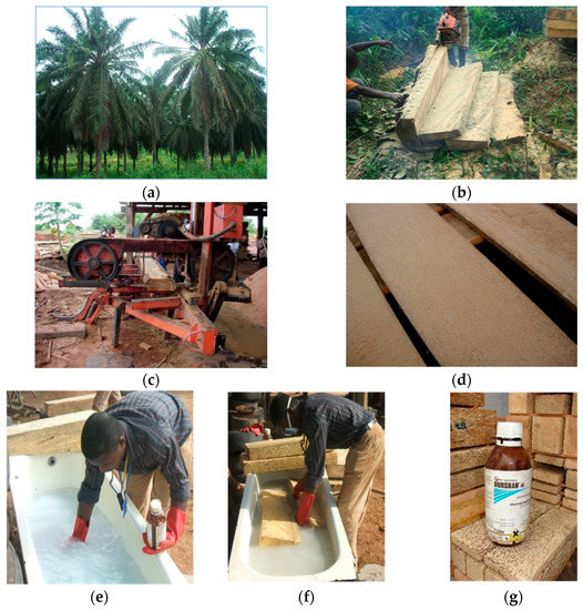 Forests | Free Full-Text | Effect of Moisture Content and Preservatives ...