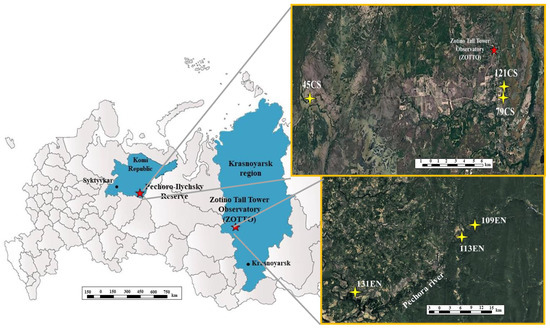 Albic Podzols of Boreal Pine Forests of Russia: Soil Organic Matter ...