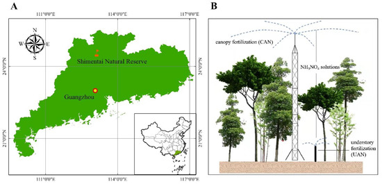 Enhanced Isohydric Behavior Decoupled the Whole-Tree Sap Flux Response ...