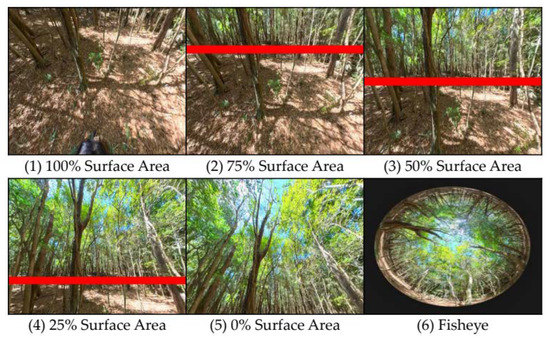 A Model Combining Forest Environment Images and Online Microclimate ...