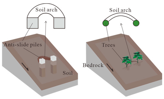 Influence of Root Volume, Plant Spacing, and Planting Pattern of Tap ...