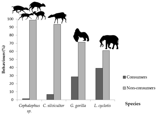 Forests | Free Full-Text | Enrichment of Logging Gaps with High-Value ...