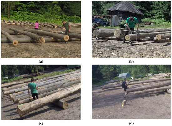 Postural Assessment of Three Wood Measurement Options by the OWAS ...