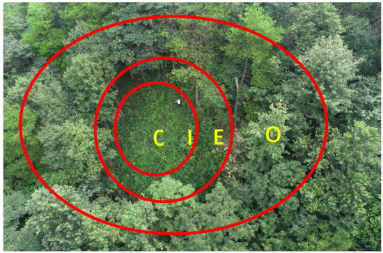 Effects of Forest Gap on Soil Microbial Communities in an Evergreen ...