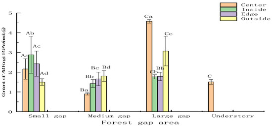 Effects of Forest Gap on Soil Microbial Communities in an Evergreen ...