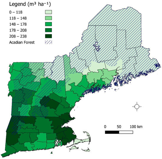 Storing More Carbon by Improving Forest Management in the Acadian ...