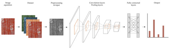 Forests | Free Full-Text | Computer Vision-Based Wood Identification: A ...