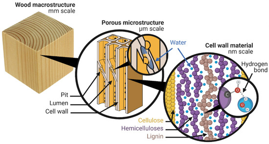 Water in Wood: A Review of Current Understanding and Knowledge Gaps