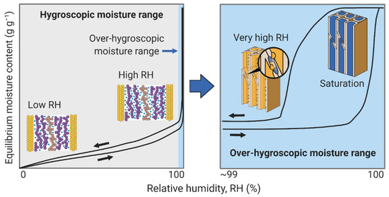 Water in Wood: A Review of Current Understanding and Knowledge Gaps