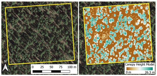 Modeling the Missing DBHs: Influence of Model Form on UAV DBH ...