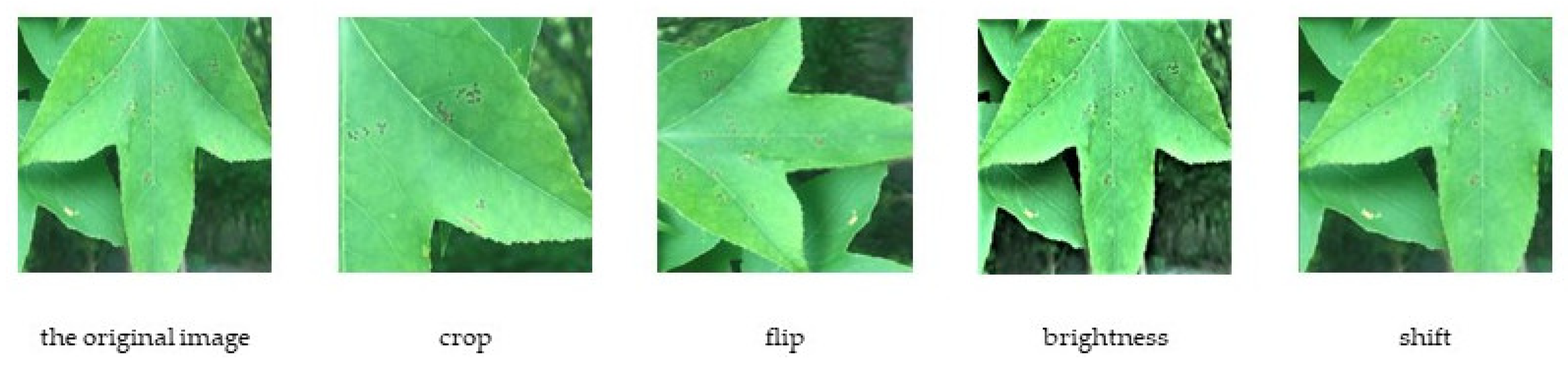 Image Segmentation Method for Sweetgum Leaf Spots Based on an Improved ...