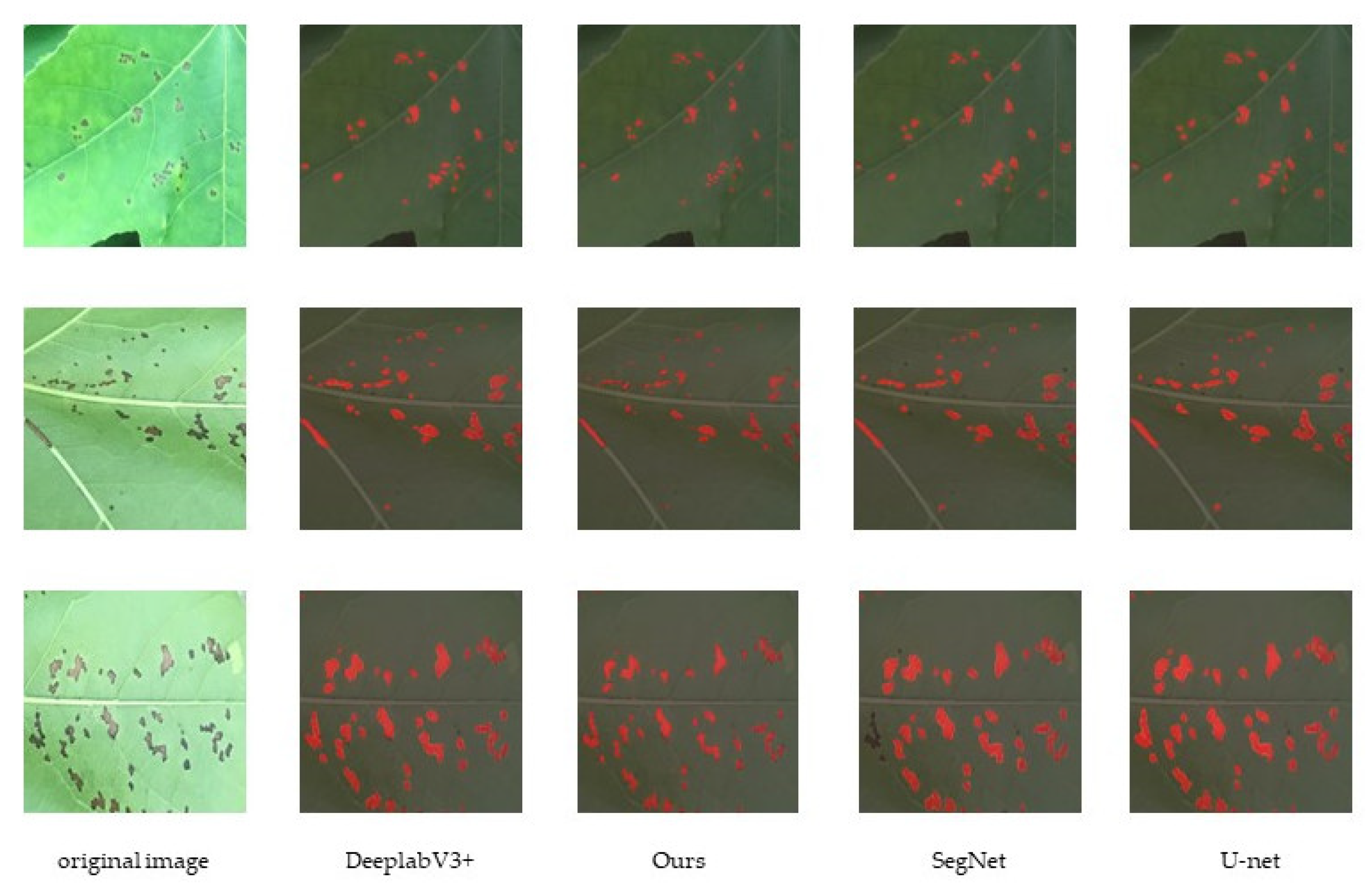 Image Segmentation Method for Sweetgum Leaf Spots Based on an Improved DeeplabV3+ Network