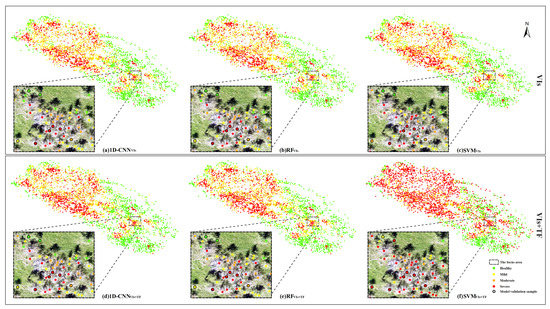 Model-Based Identification of Larix sibirica Ledeb. Damage Caused by ...