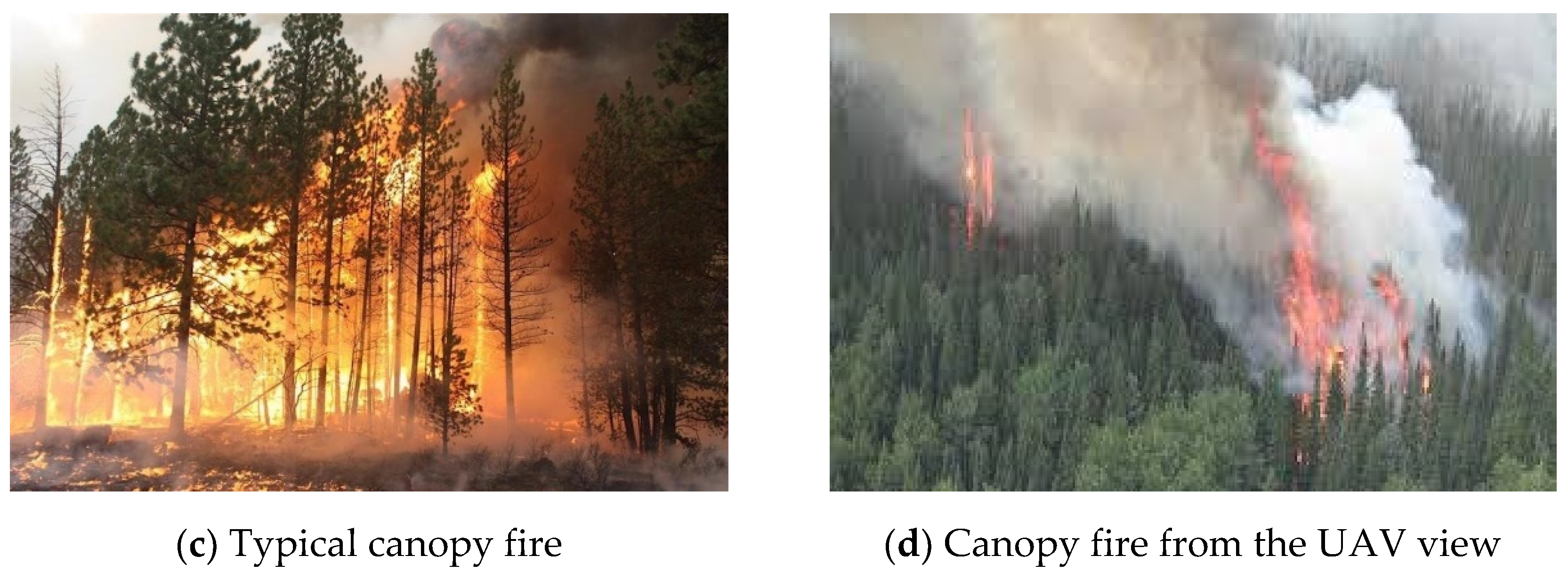 FCDM: An Improved Forest Fire Classification and Detection Model Based ...