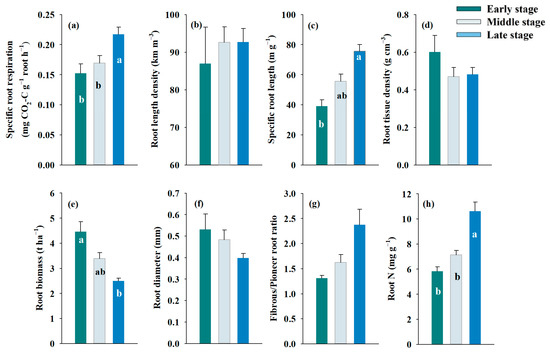 Root Production and Microbe-Derived Carbon Inputs Jointly Drive Rapid ...
