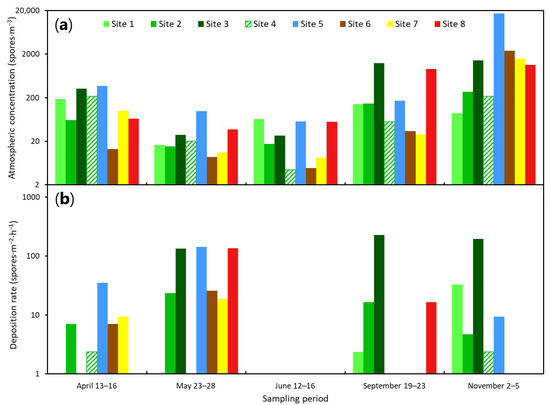 Forests | Free Full-Text | Volumetric Spore Traps Are a Viable ...