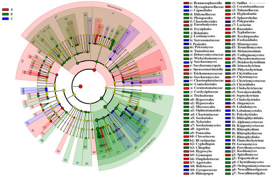 The Effects of Suillus luteus Inoculation on the Diversity of Fungal ...