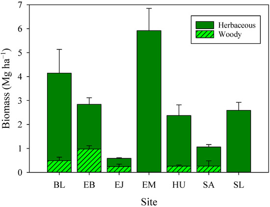 Long-Term Responses to Competing Vegetation Management for Pinus radiata