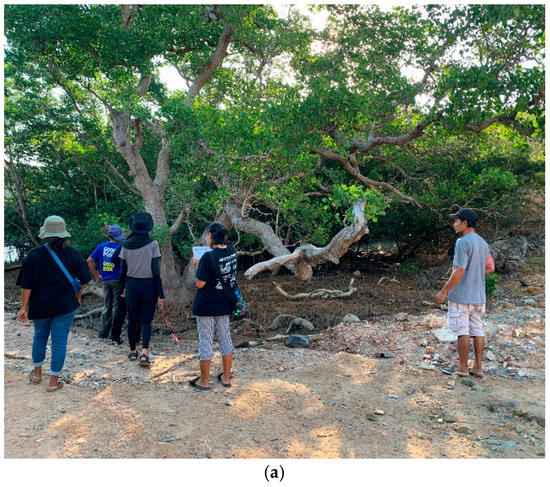 Mapping Mangrove Above-Ground Carbon Using Multi-Source Remote Sensing Data and Machine Learning ...