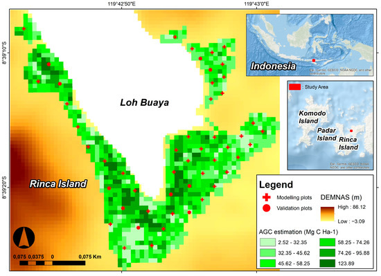 Mapping Mangrove Above-Ground Carbon Using Multi-Source Remote Sensing Data and Machine Learning ...