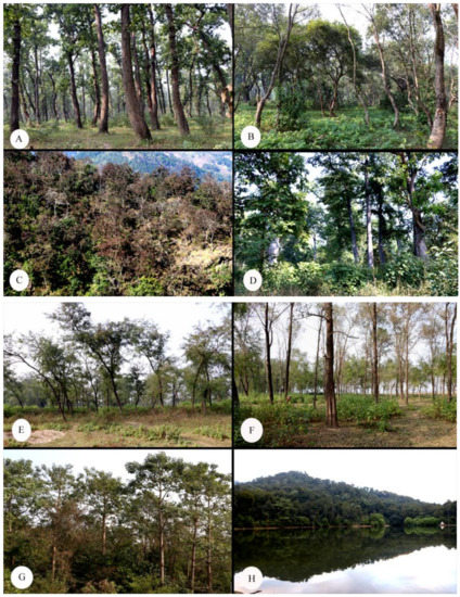 Characterization of Forest Ecosystems in the Chure (Siwalik Hills ...