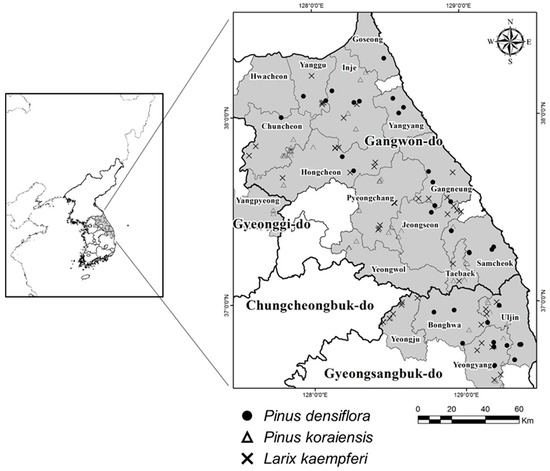 Developing and Comparing Individual Tree Growth Models of Major Coniferous Species in South ...