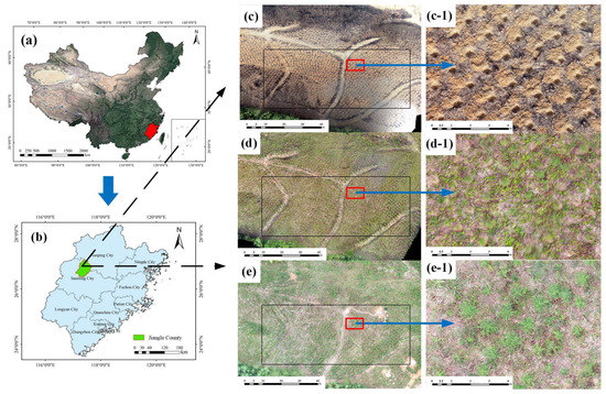 Detection of Growth Change of Young Forest Based on UAV RGB Images at ...