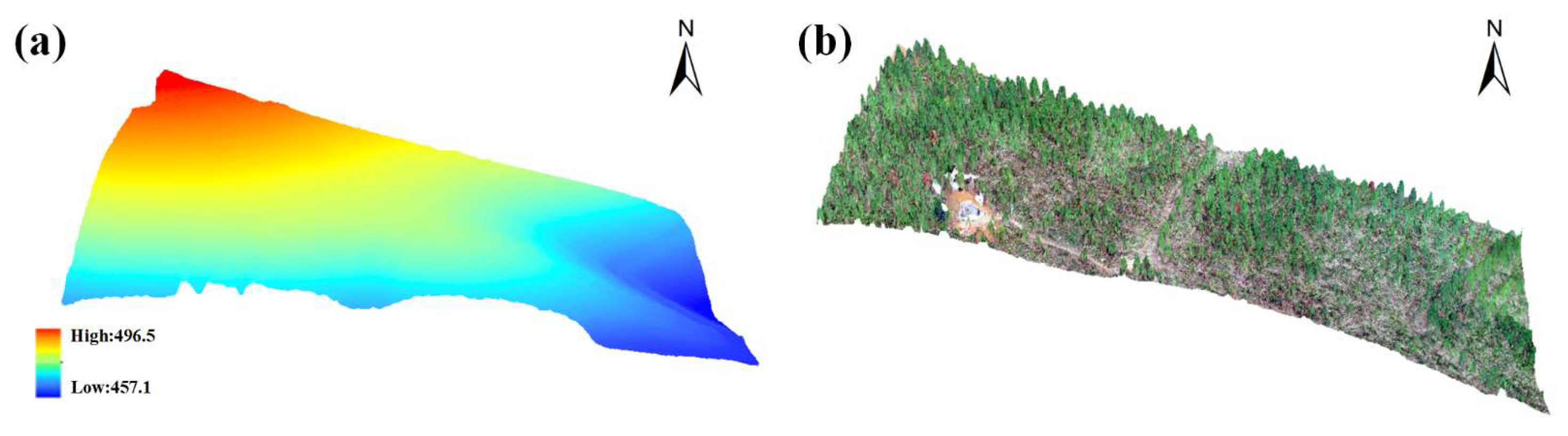 Detection of Growth Change of Young Forest Based on UAV RGB Images at ...