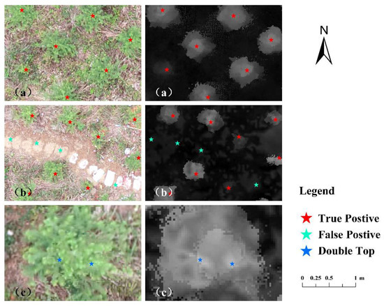 Detection of Growth Change of Young Forest Based on UAV RGB Images at ...