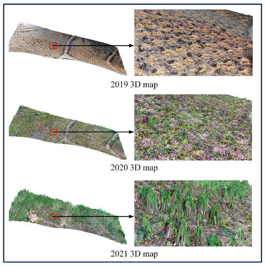 Detection of Growth Change of Young Forest Based on UAV RGB Images at ...
